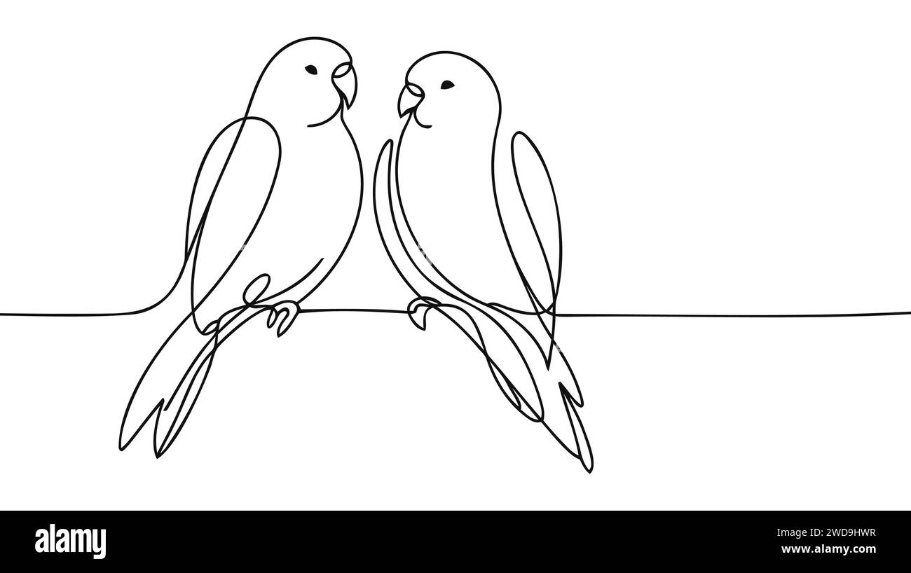 Vector one line illustration with two parrots on a branch on white background. Love birds in ...
