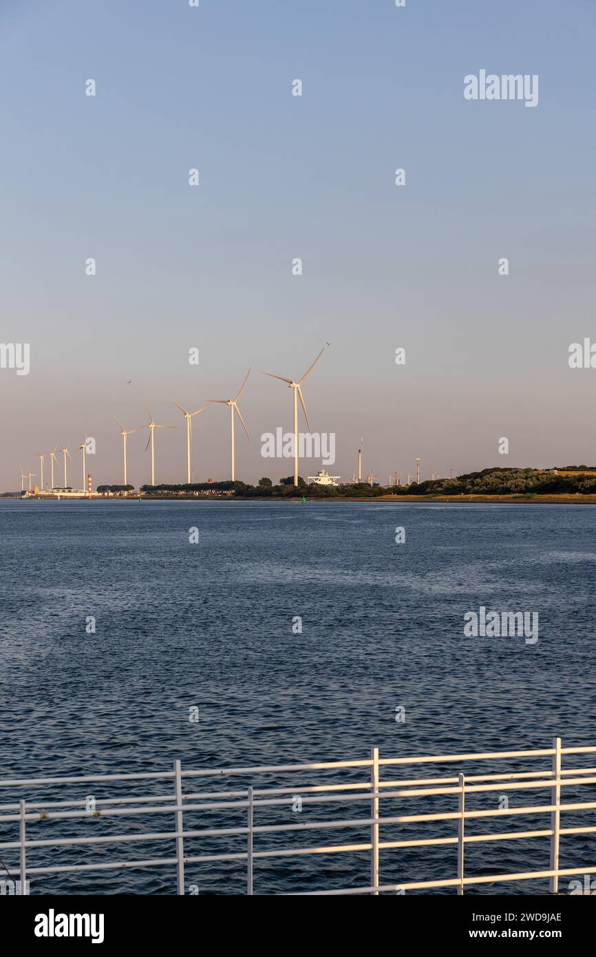 Beautiful windmills in the port of Rotterdam. Beautiful sunset on the ...