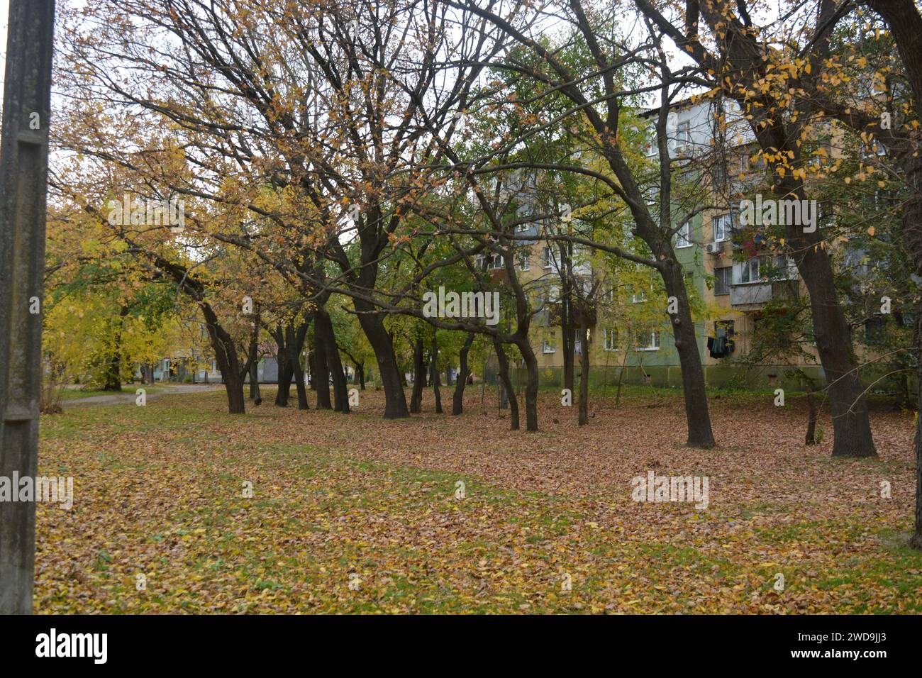 Beautiful and unusual autumn nature of the city of Pavlohrad, Ukraine ...