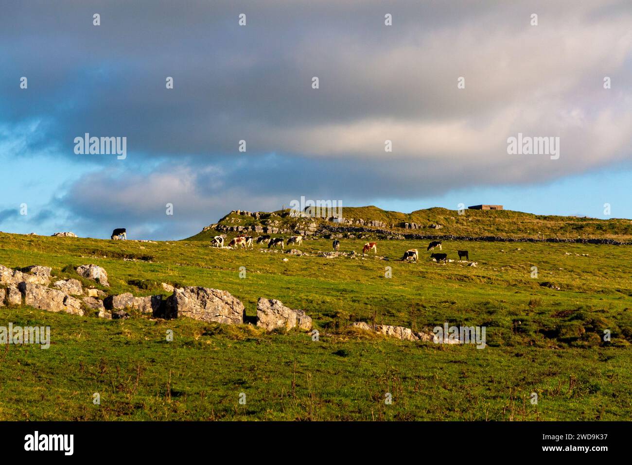 Limestone landscape with blue sky and clouds above at High Edge near ...