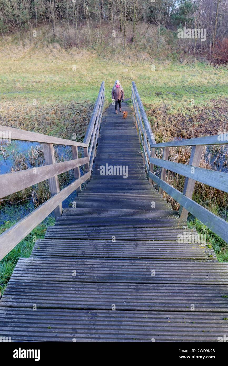 Wooden stair steps and railings over a stream, woman with her dog in ...