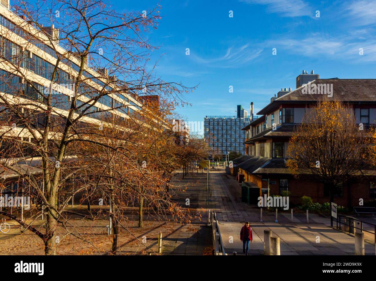 Modern buildings on the city centre campus of the University of Leeds ...