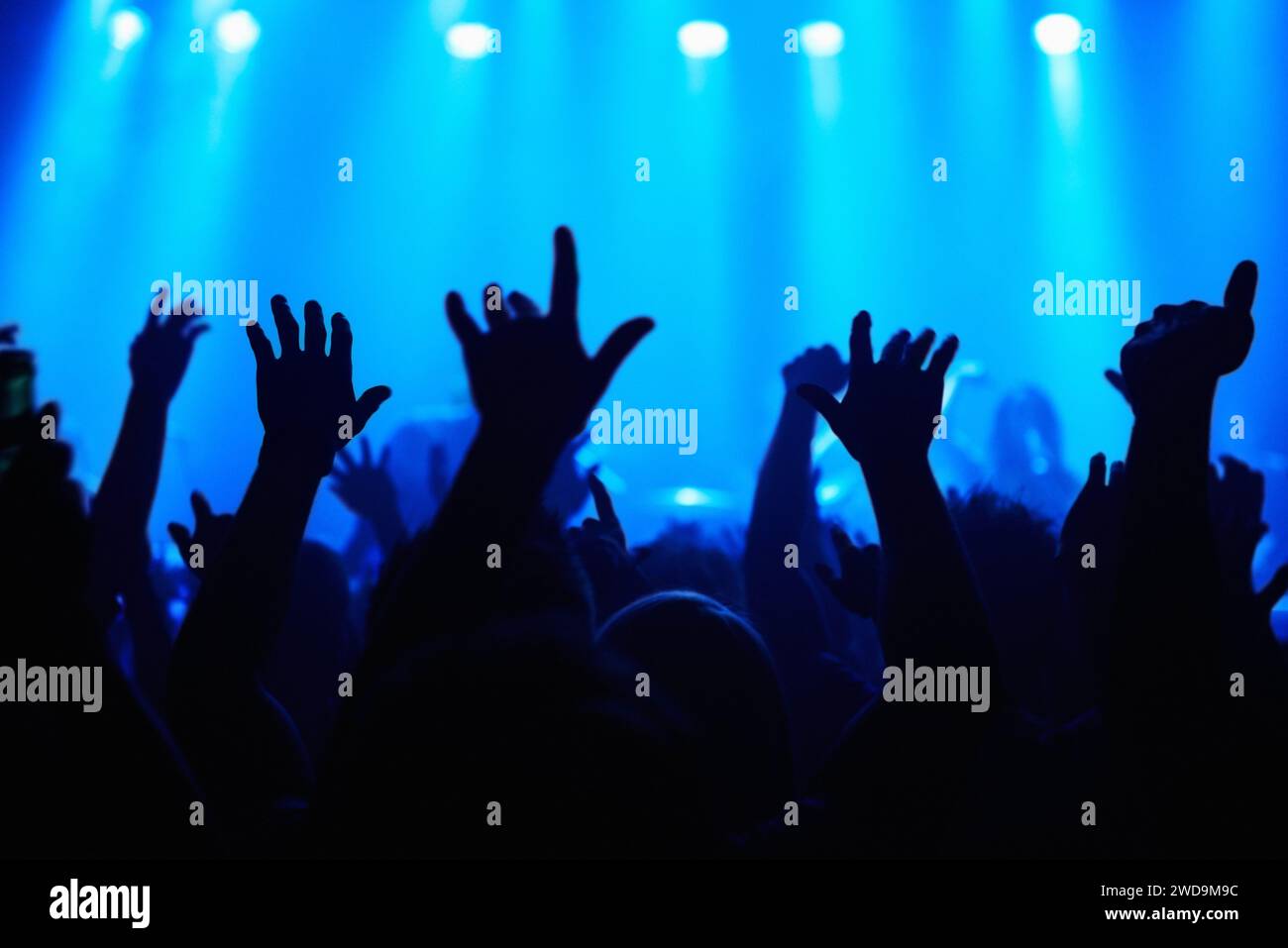 Club, concert and audience with hands or lights for music, party and ...