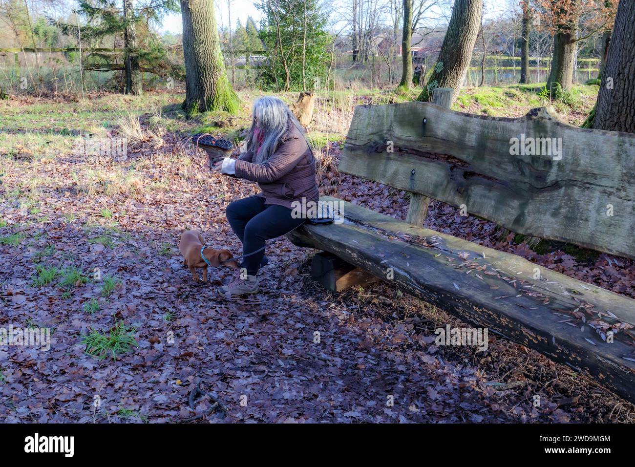 Mature hiker sitting on wooden bench, removing a stone from her hiking ...