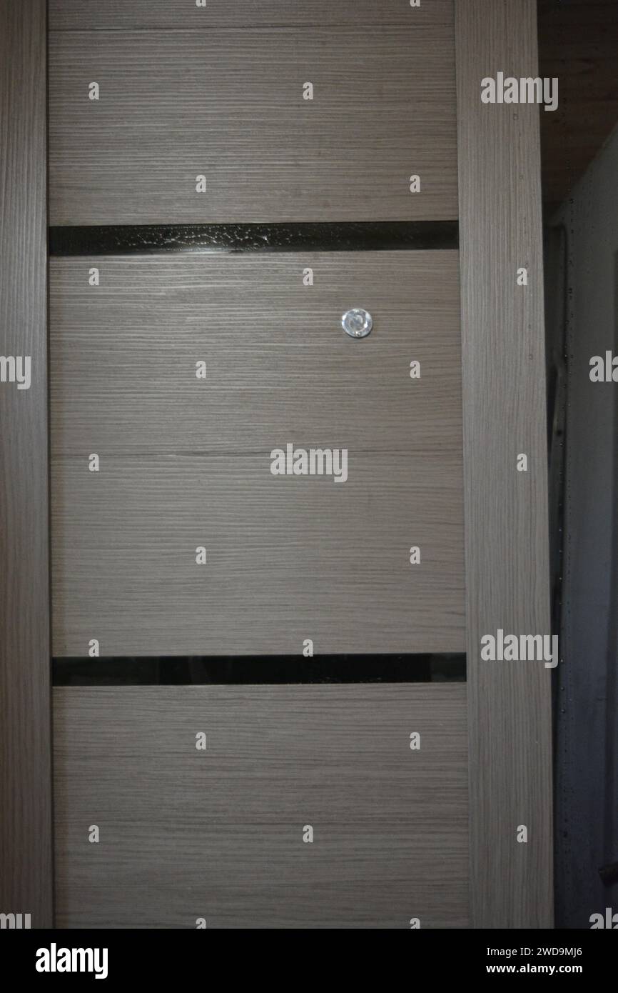 Construction and renovation works, beautiful and stylish street door ...