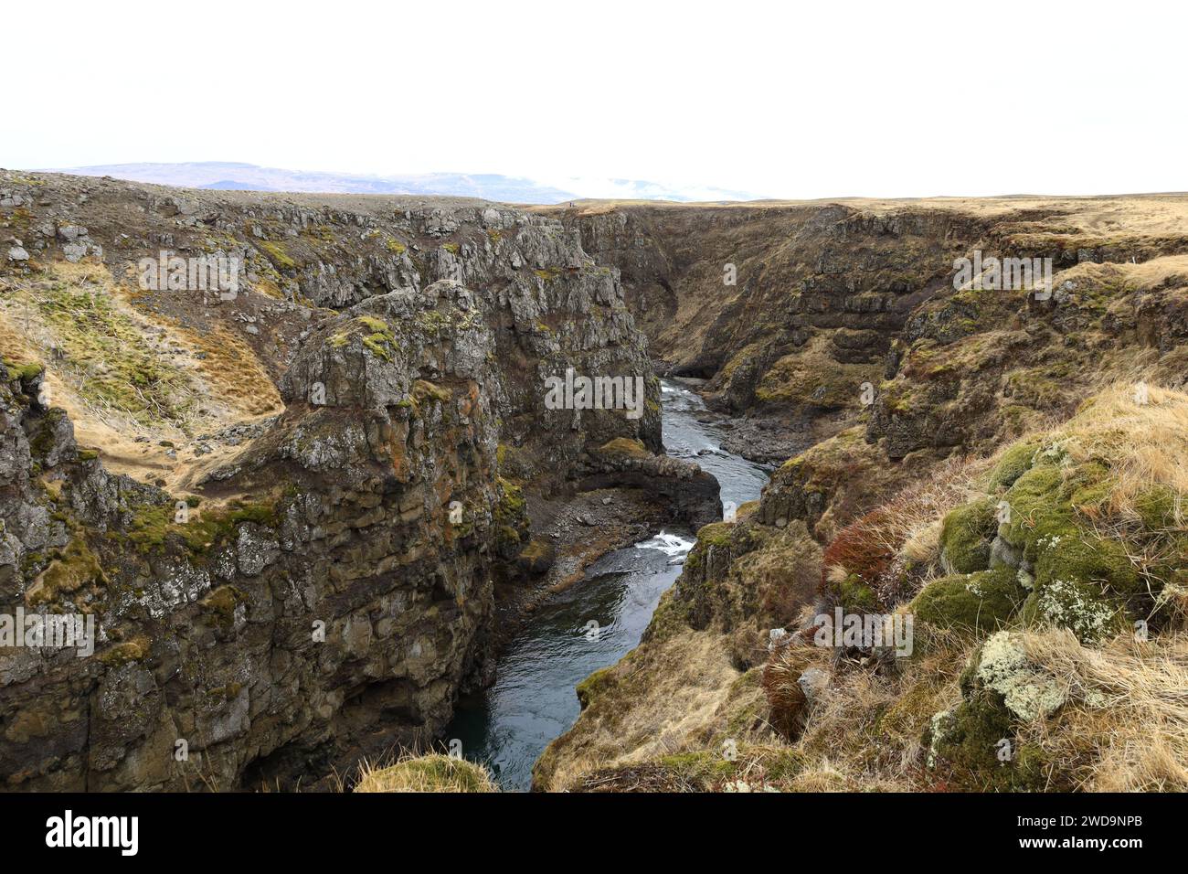 Kolugljúfur is a very pretty canyon located in the north of Iceland and ...