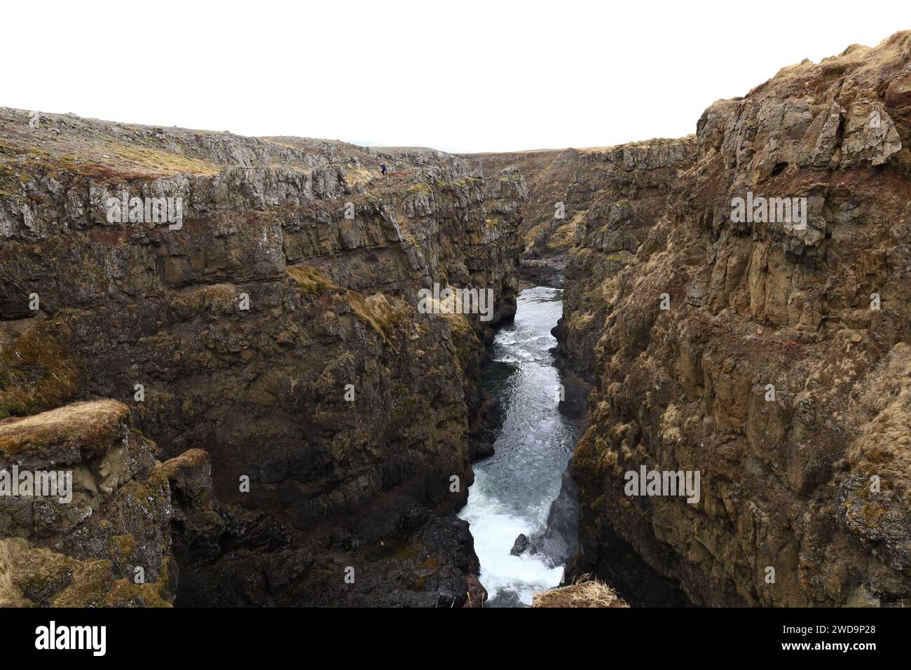 Kolugljúfur is a very pretty canyon located in the north of Iceland and ...