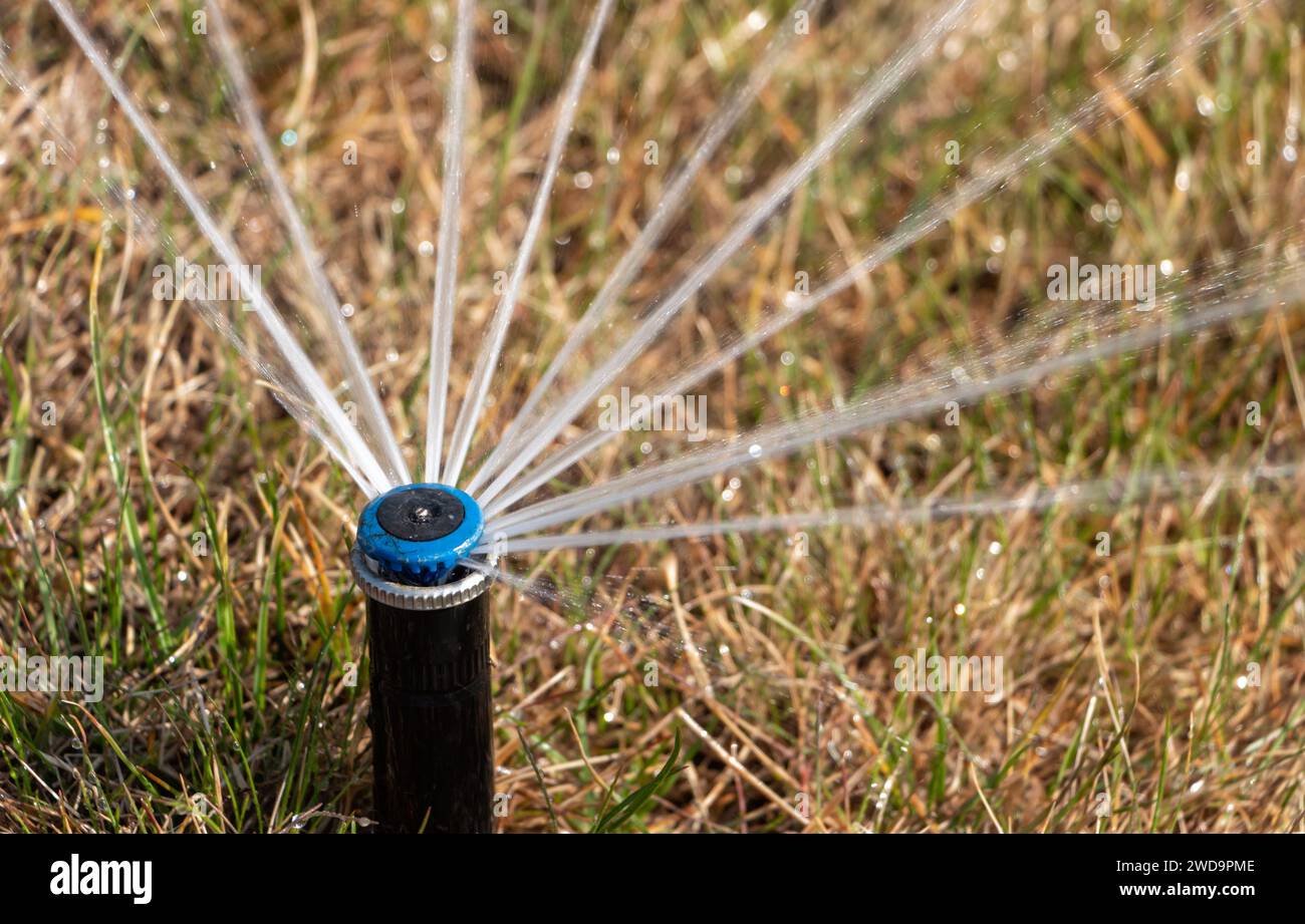 Automatic sprinkler system watering the lawn on a background of green ...