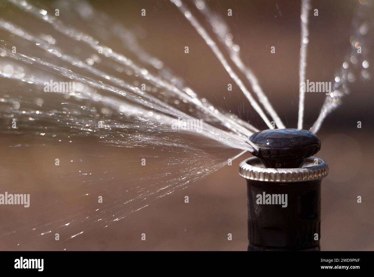 Automatic sprinkler system watering the lawn on a background of green ...