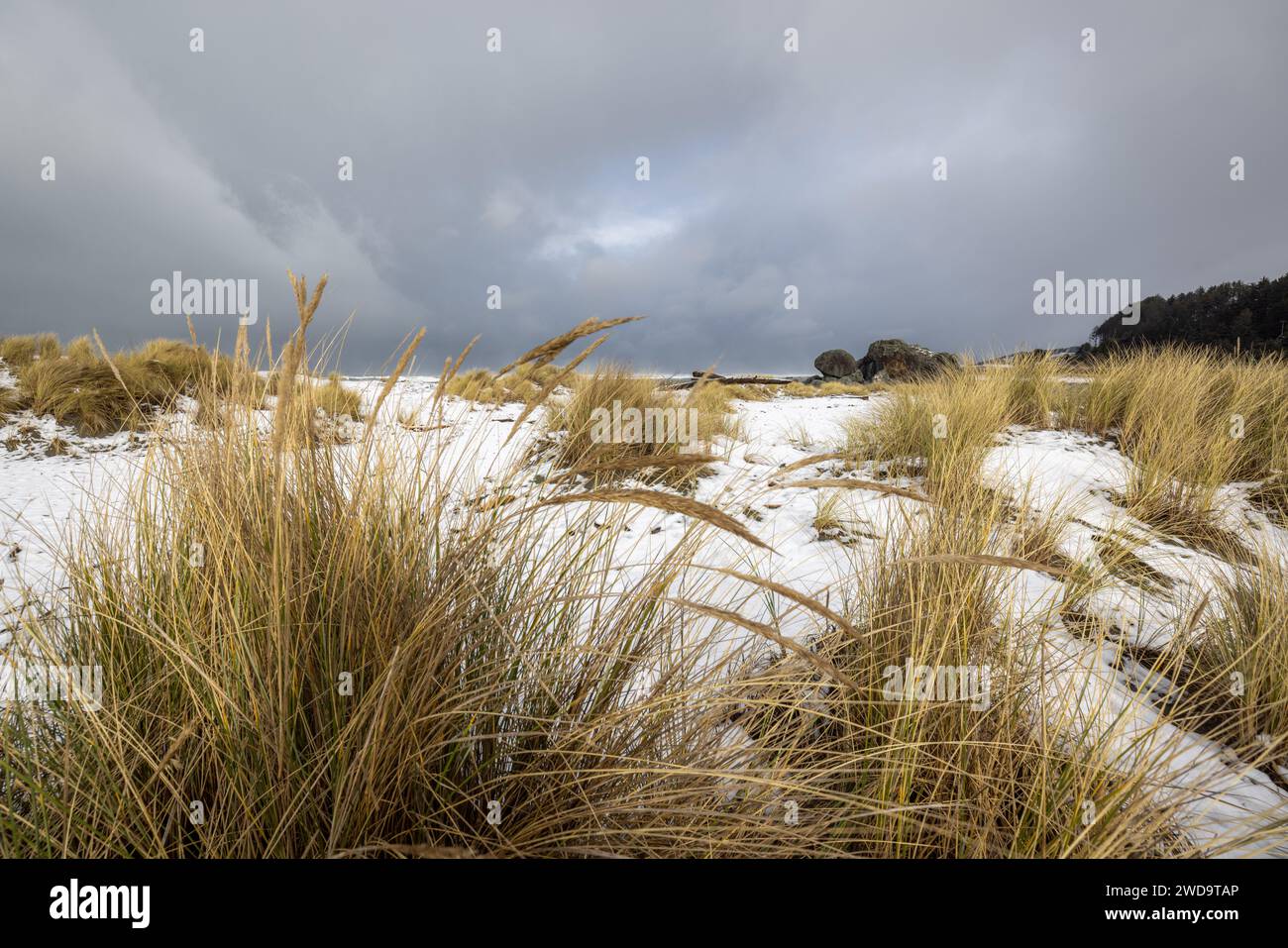 Turtle rock beach covered in snow after a rare winter storm brought ...