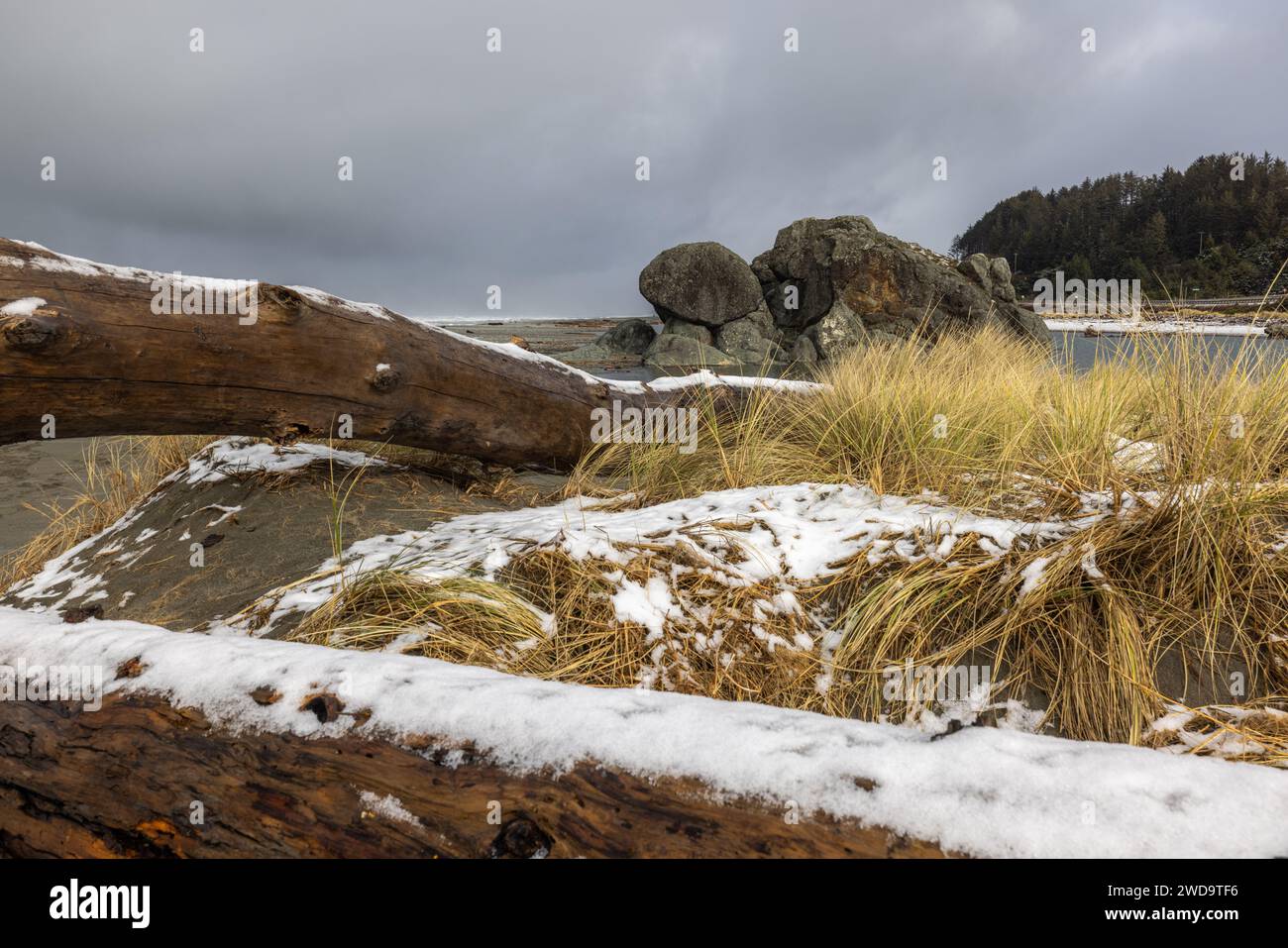 Turtle rock beach covered in snow after a rare winter storm brought ... Turtle rock beach covered in snow after a rare winter storm brought ...