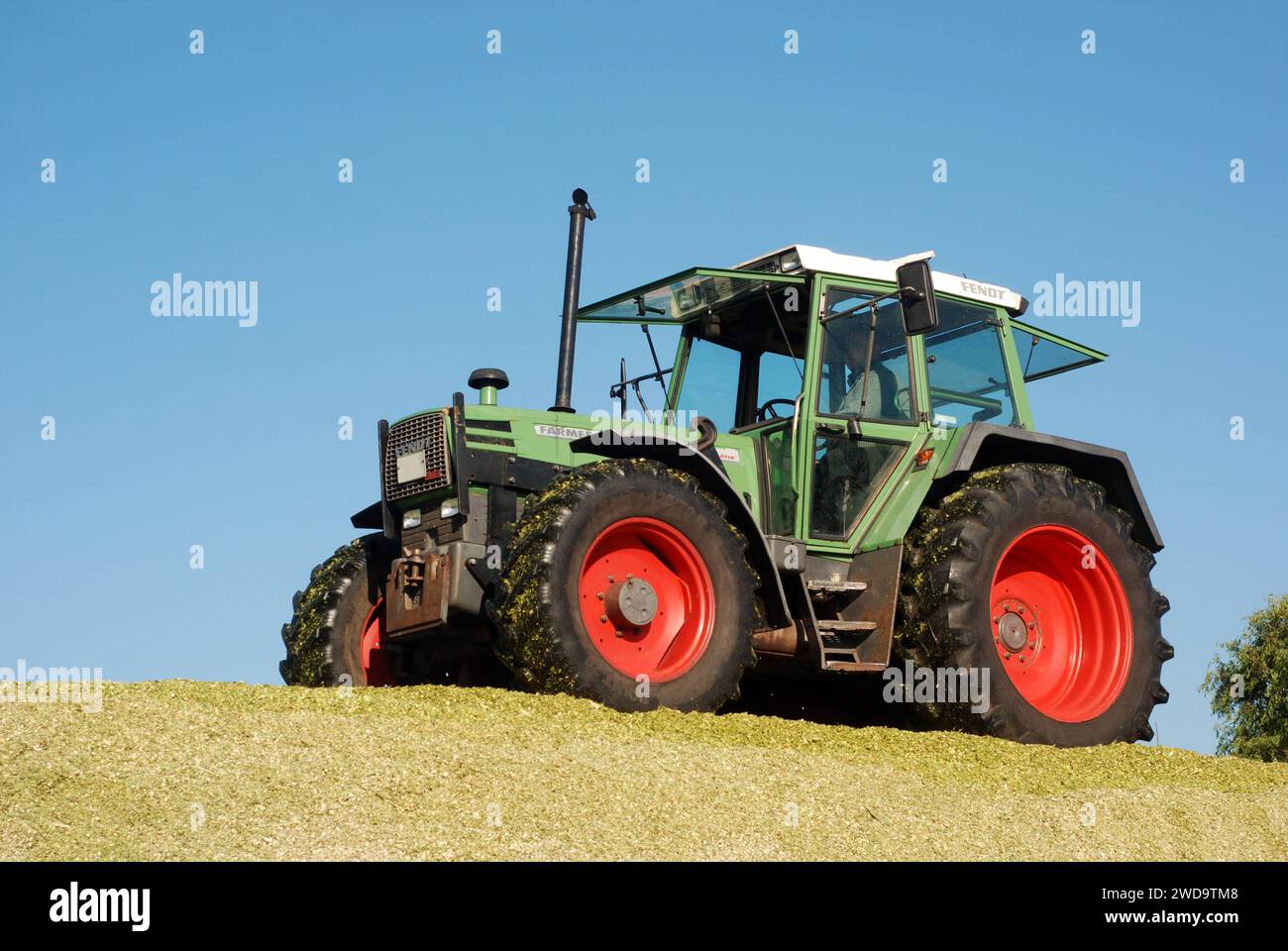 Maismiete hi-res stock photography and images - Alamy