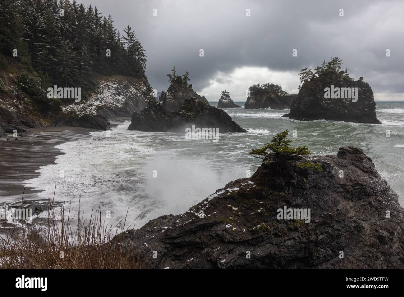 Rare winter storm bringing snow to one of the most popular and ...