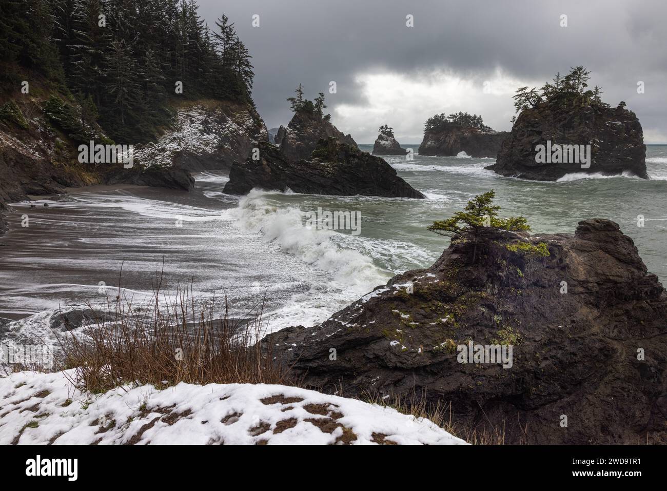 Rare winter storm bringing snow to one of the most popular and ...