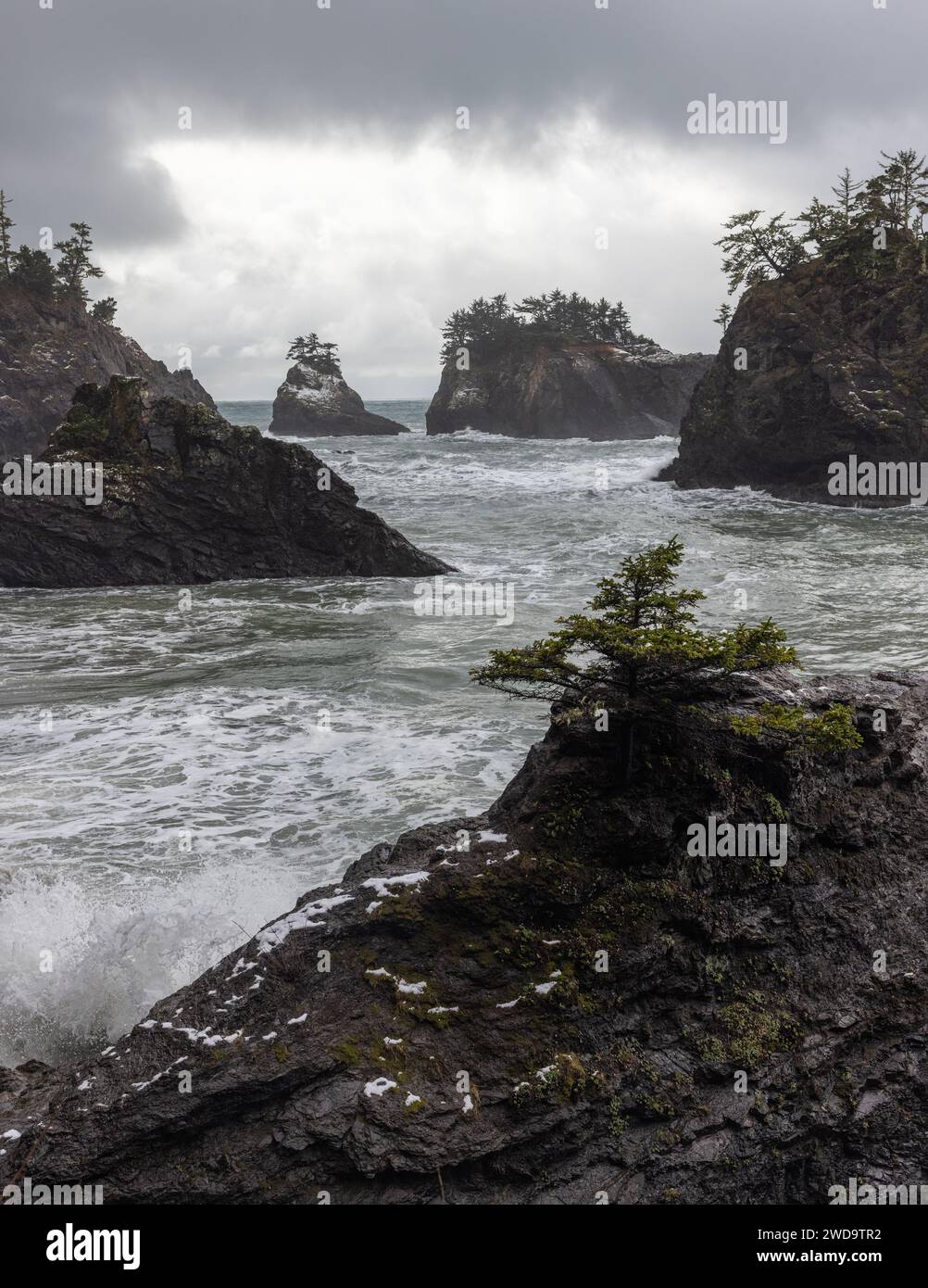 Rare winter storm bringing snow to one of the most popular and ...