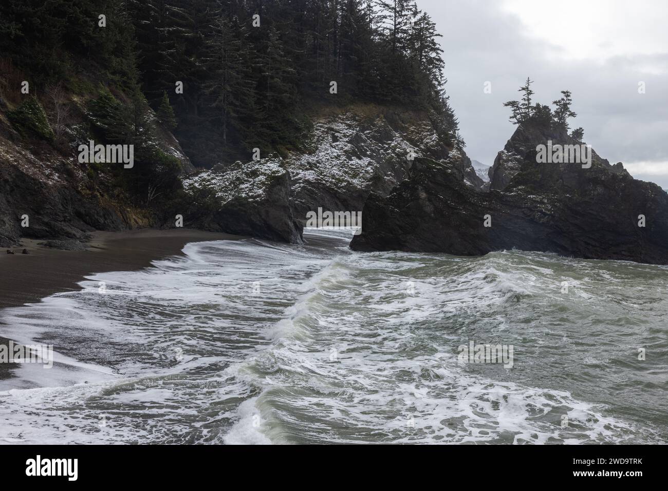 Rare winter storm bringing snow to one of the most popular and ...