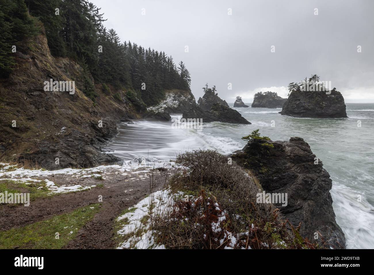 Rare winter storm bringing snow to one of the most popular and ...