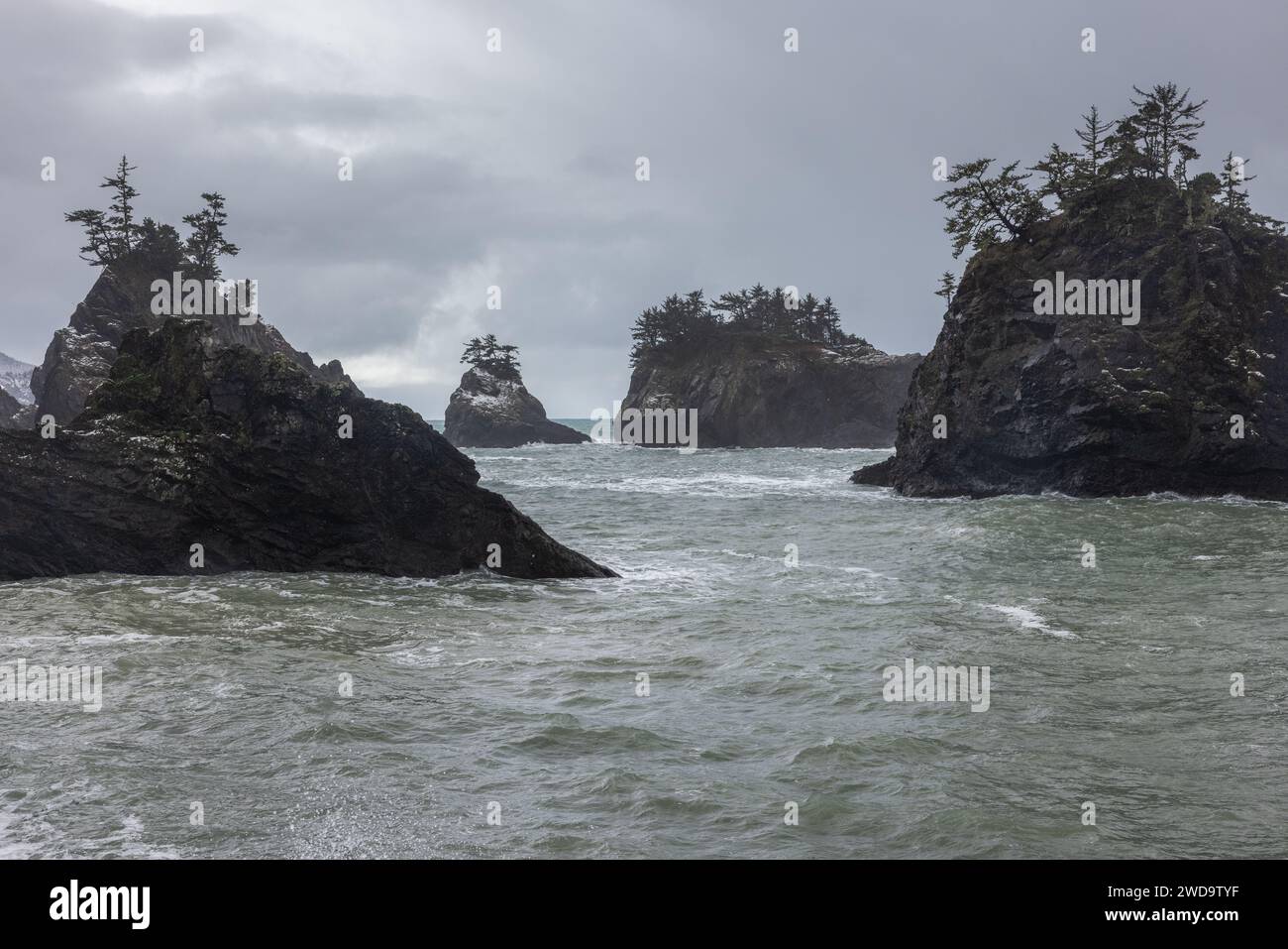 Rare winter storm bringing snow to one of the most popular and ...