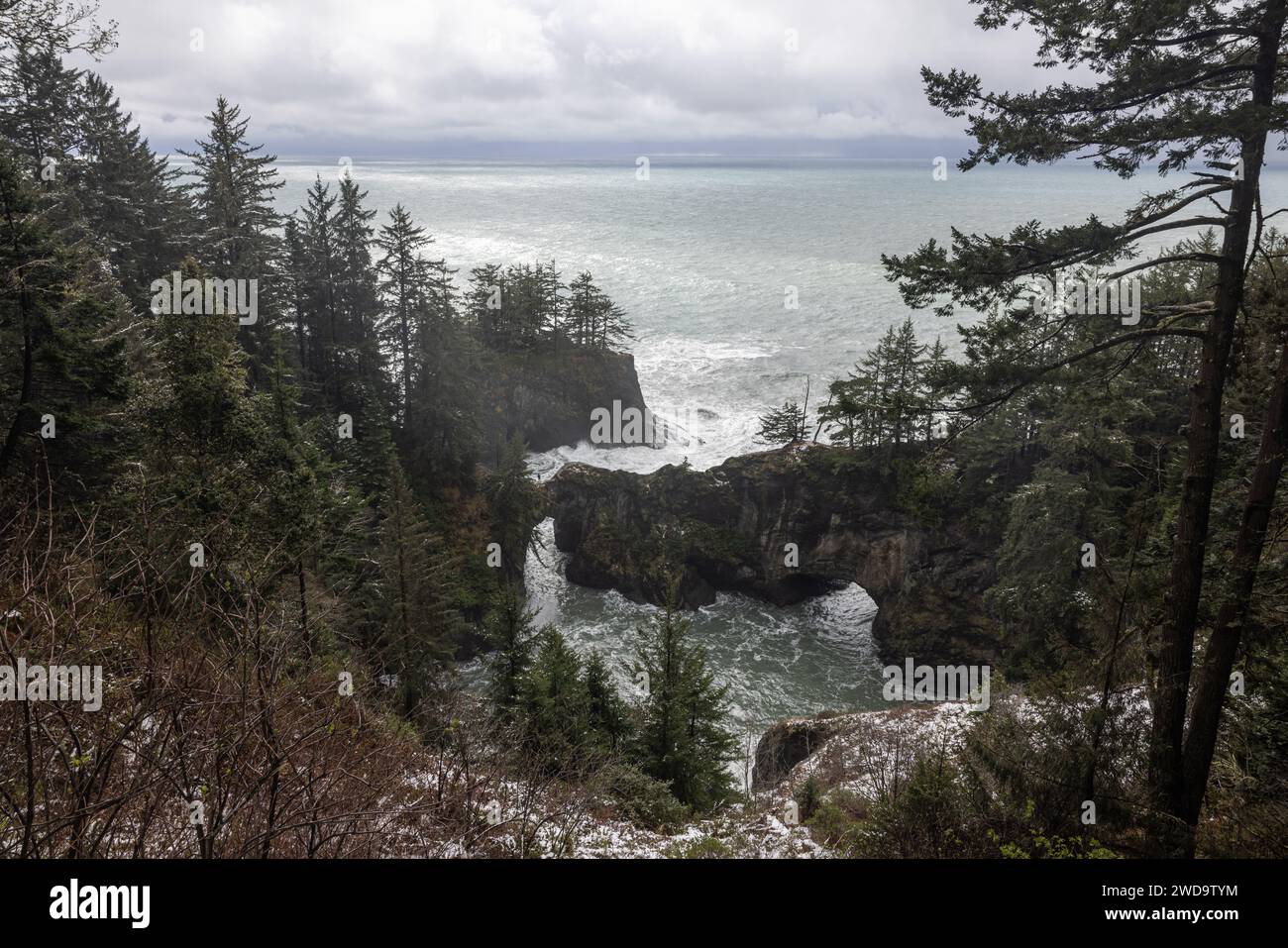 Rare winter storm bringing snow to one of the most popular and ...