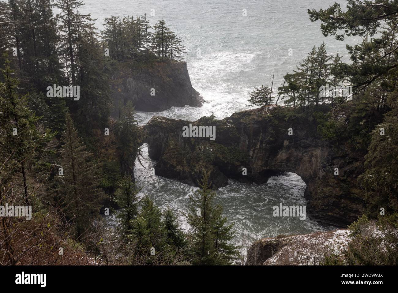 Rare winter storm bringing snow to one of the most popular and ...