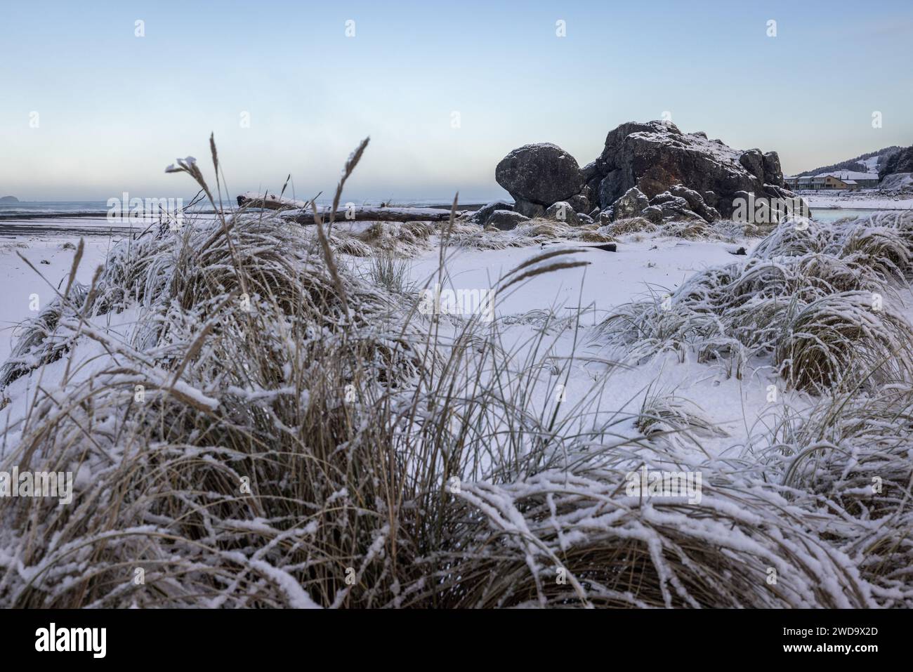 Popular rock feature in Gold Beach Oregon known as turtle rock covered ...