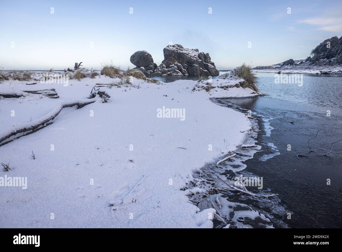 Popular rock feature in Gold Beach Oregon known as turtle rock covered ...