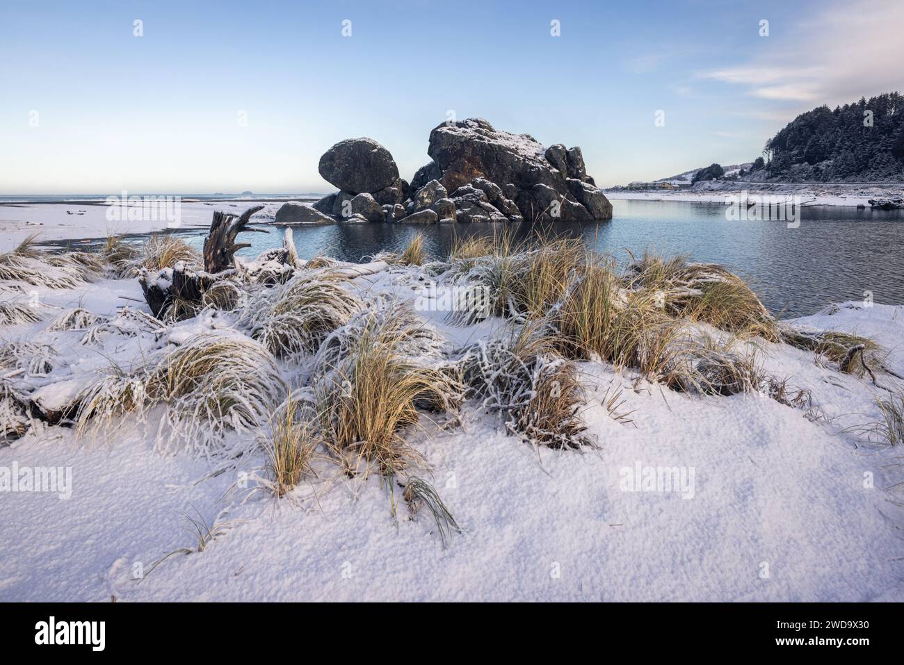 Popular rock feature in Gold Beach Oregon known as turtle rock covered ...