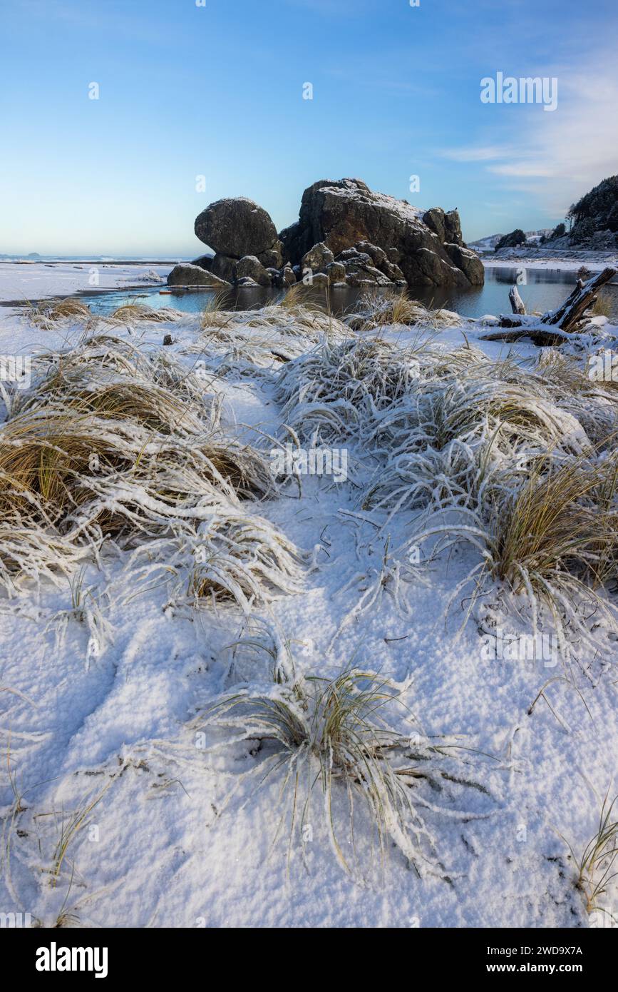 Popular rock feature in Gold Beach Oregon known as turtle rock covered ...