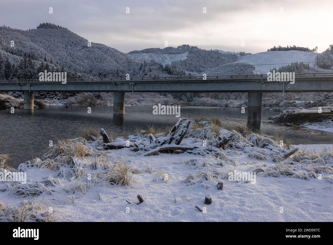 A rare winter storm February 24 2023 brought snow to the southern ...
