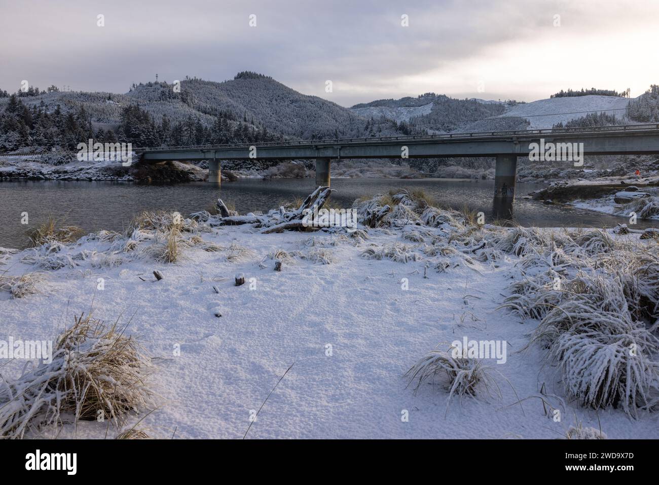 A rare winter storm February 24 2023 brought snow to the southern ...