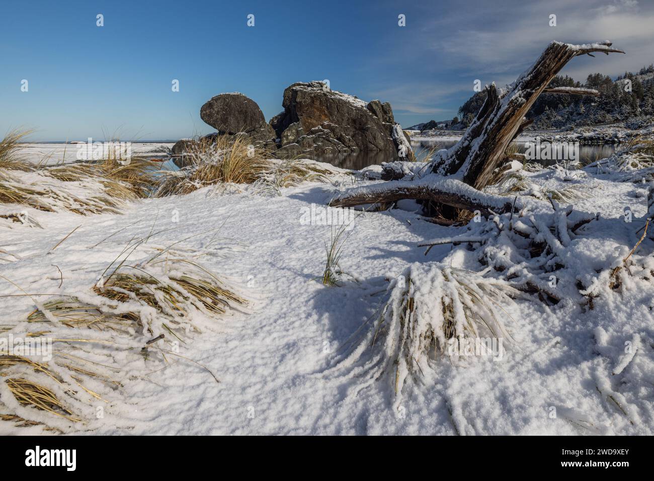 Popular rock feature in Gold Beach Oregon known as turtle rock covered ...