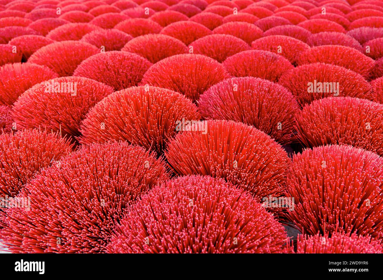 Colorful joss sticks left to dry in the sun, Vietnam Stock Photo - Alamy