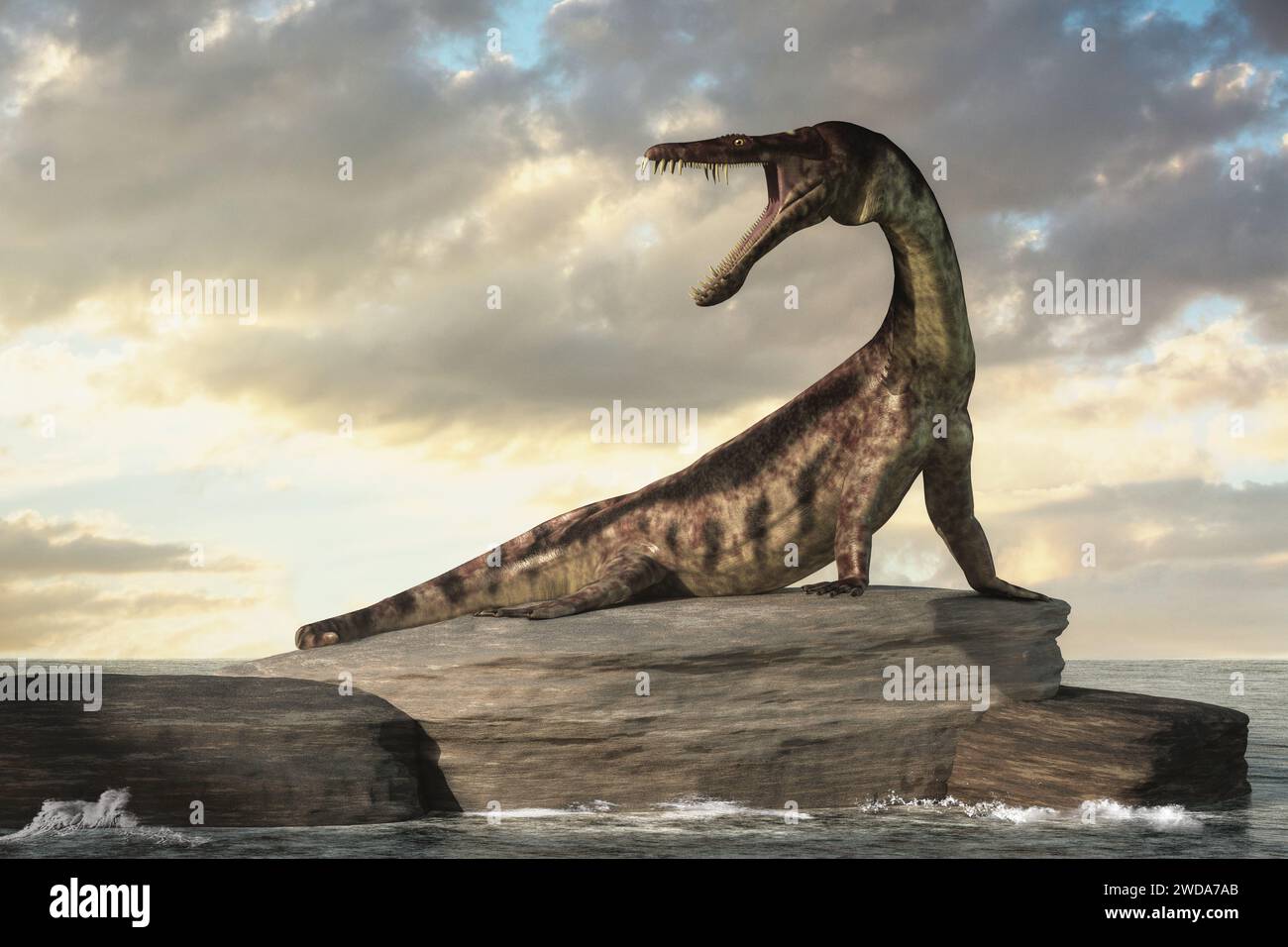 Nothosaurus was a marine reptile from the Triassic period, resembling a ...