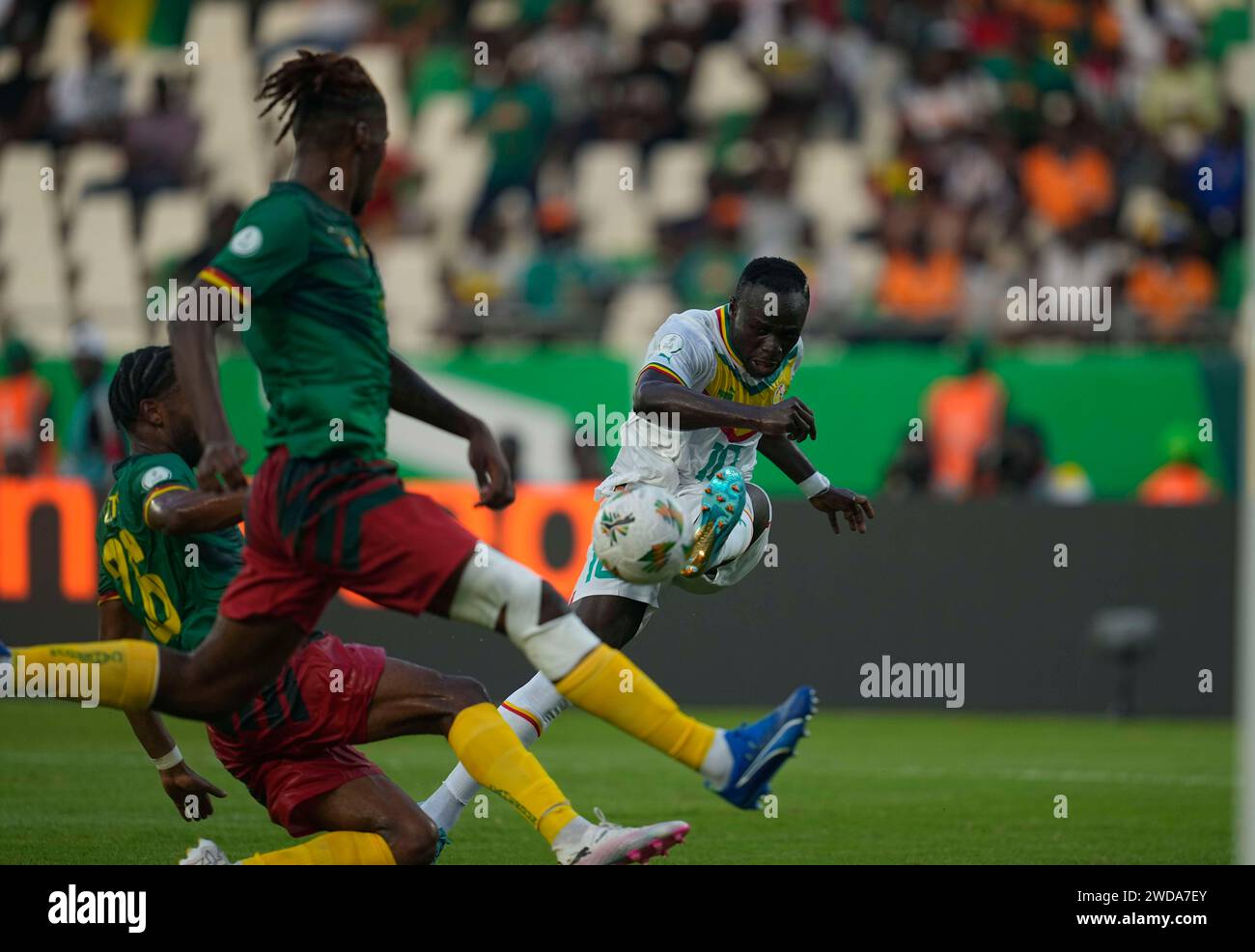 1 19, 2024. LIVE images from Group C African Cup of Nation 2023 game ...