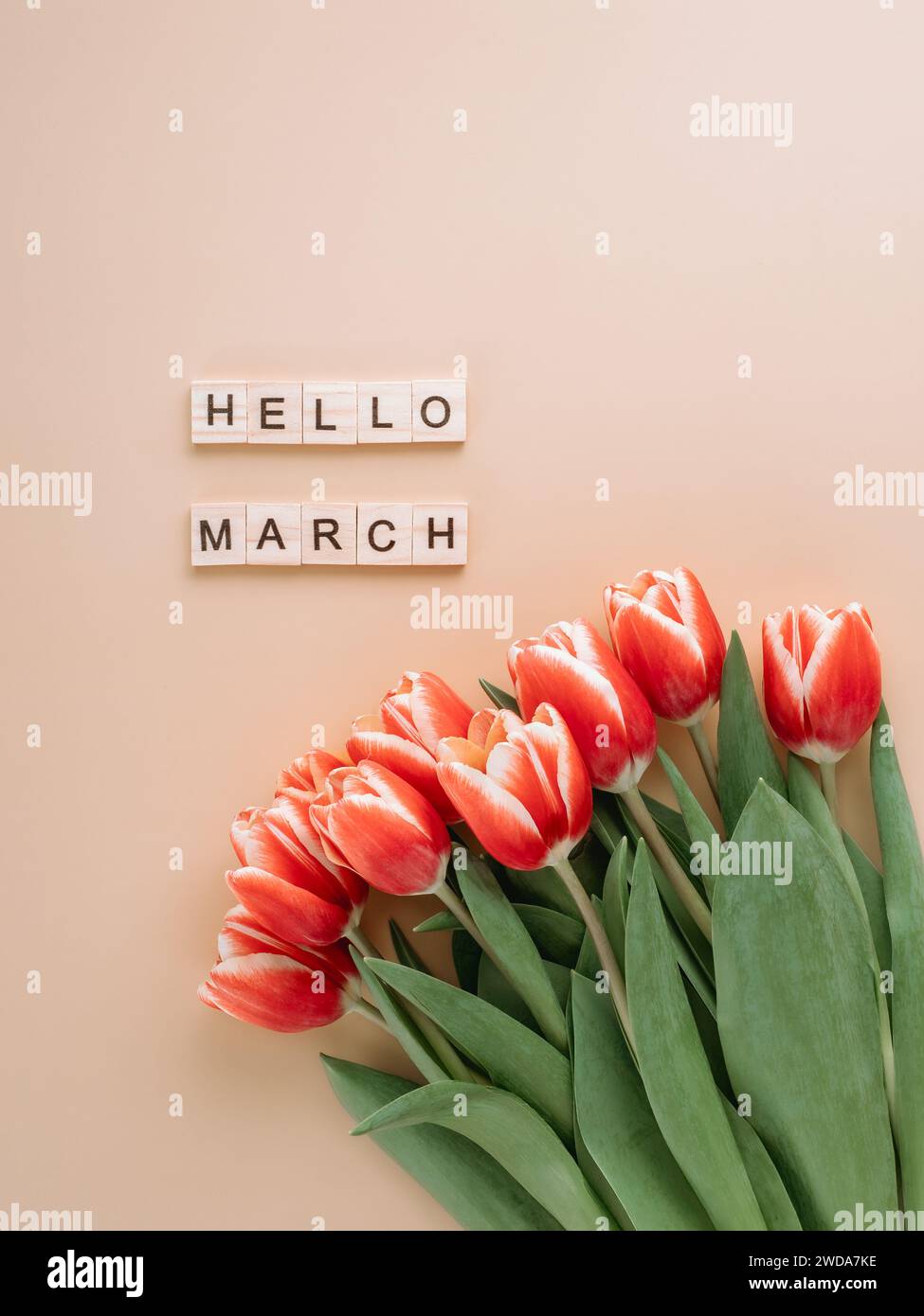 Hello march concept. Aesthetic background for beginning of spring ...