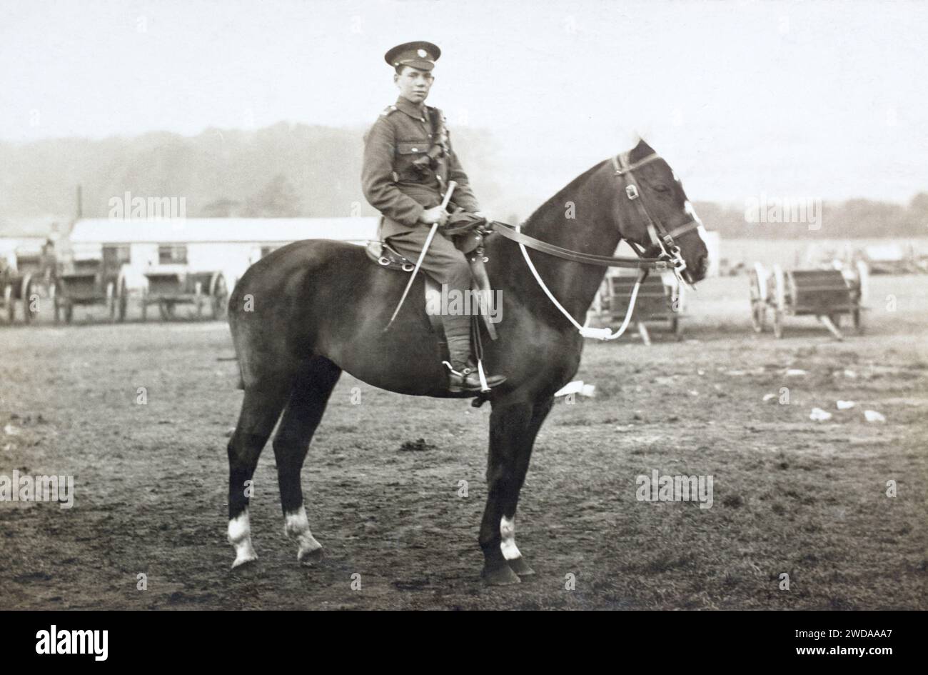 A mounted soldier of the Army Service Corps, with wagons in the background, during the First ...