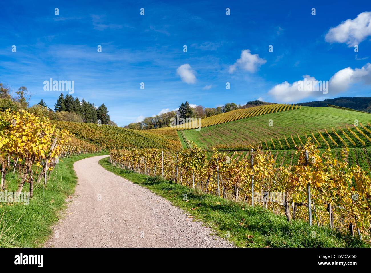 Gorgeous wine trail hi-res stock photography and images - Alamy