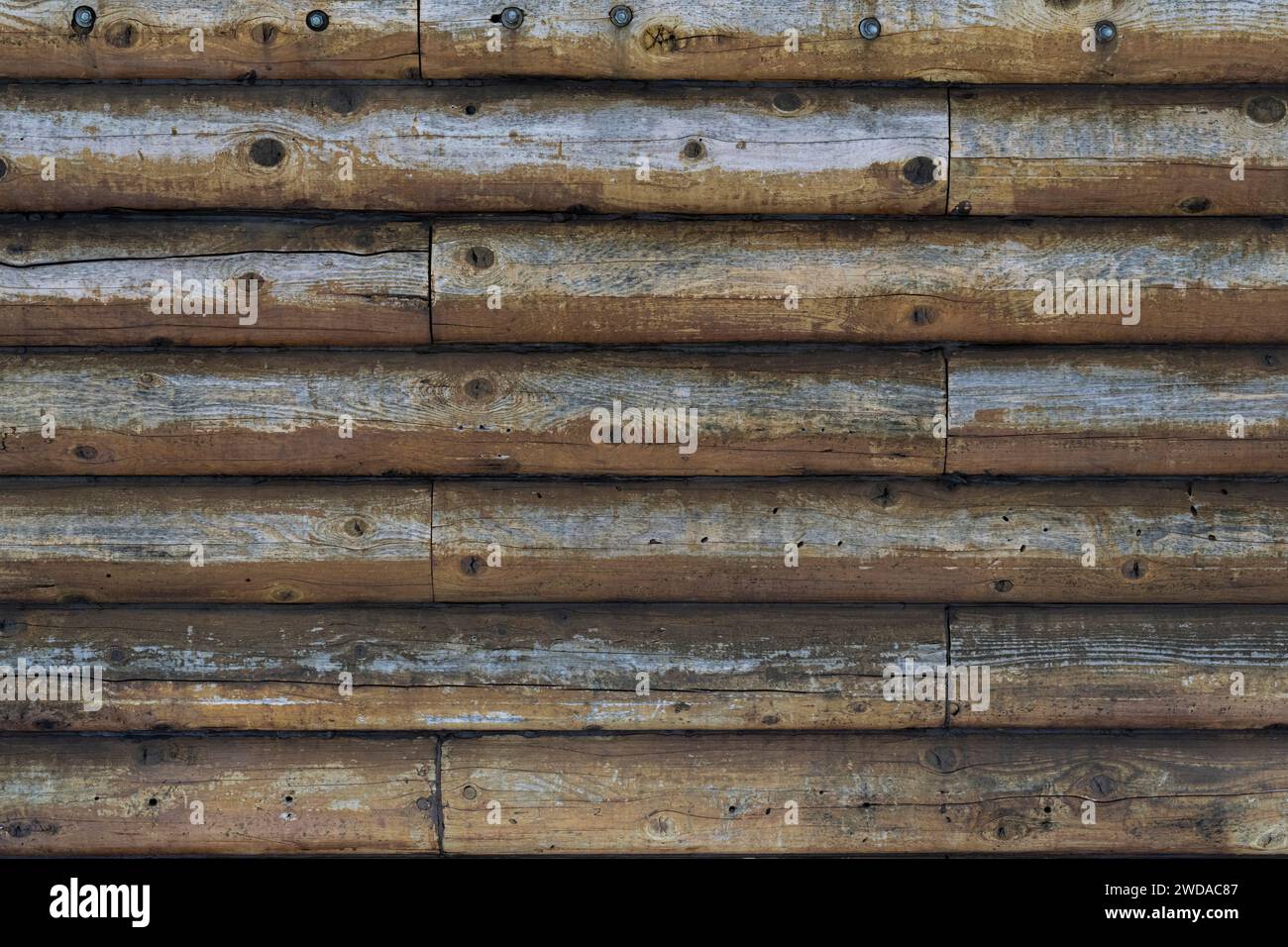 Side of log cabin. Wood texture Stock Photo - Alamy