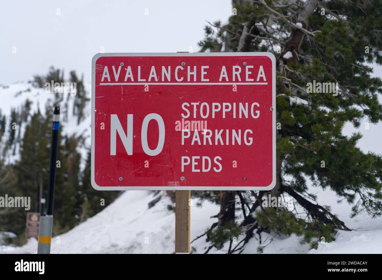 "Avalanche Area NO Stopping Parking PEDS" sign at Sierra Nevada ...