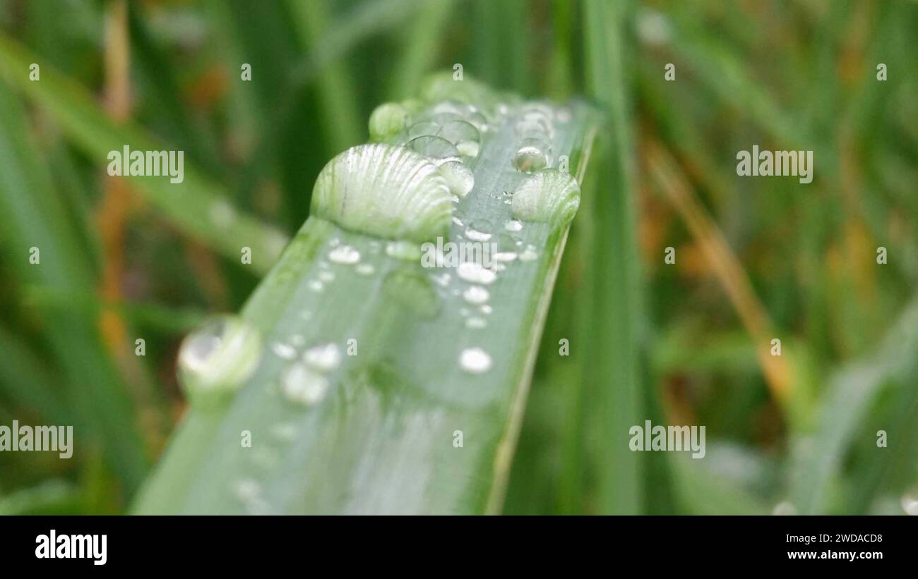 Shining and glistening water hi-res stock photography and images - Alamy