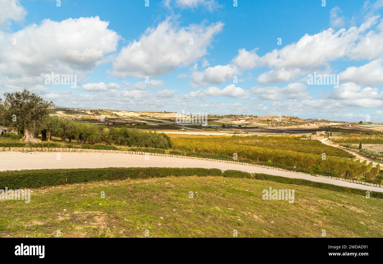 Countryside Sicilian landscape with olive trees and hills of the ...