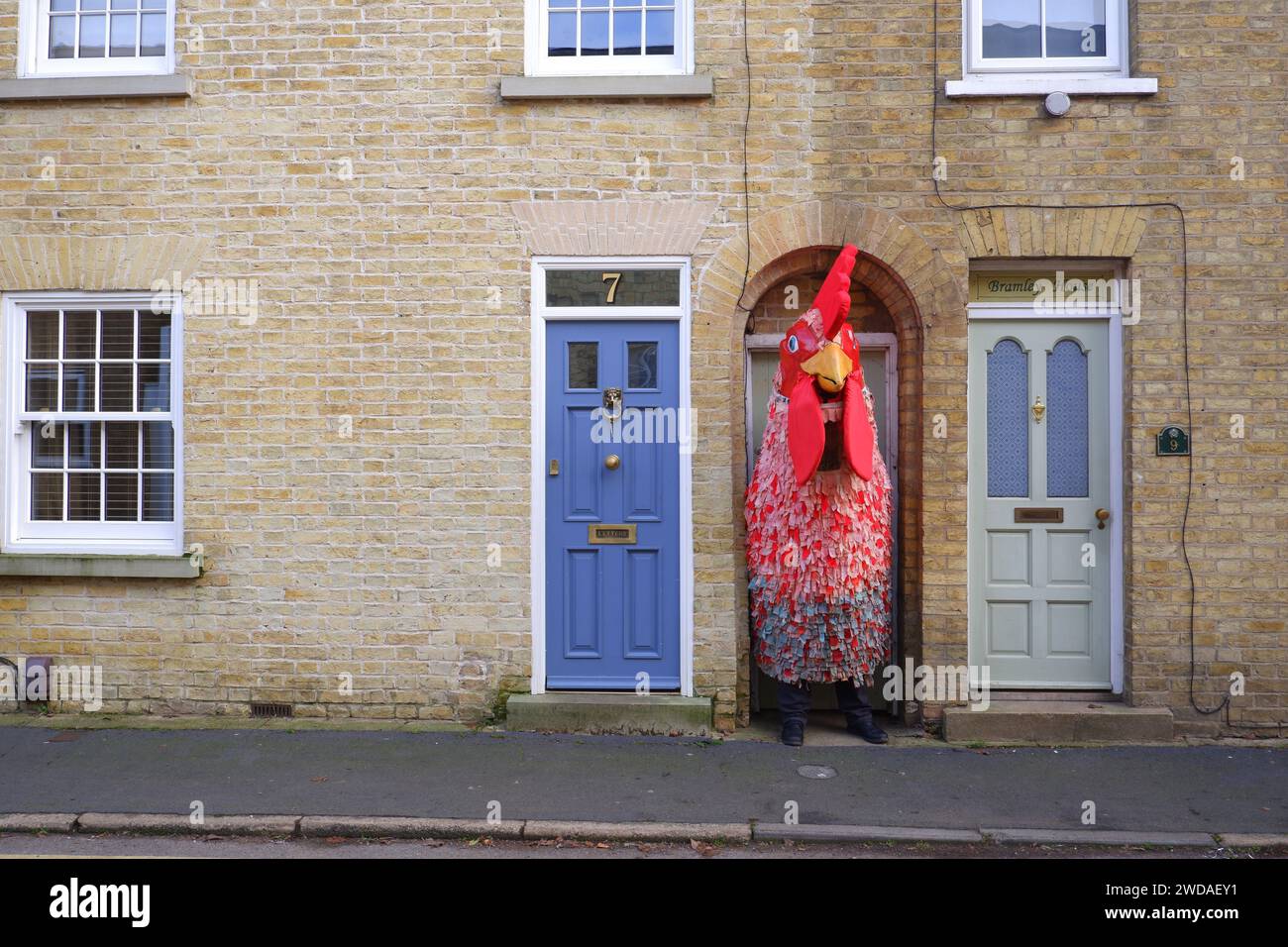 A giant cockerel who is the beast mascot for Peterborough Morris lurks ...
