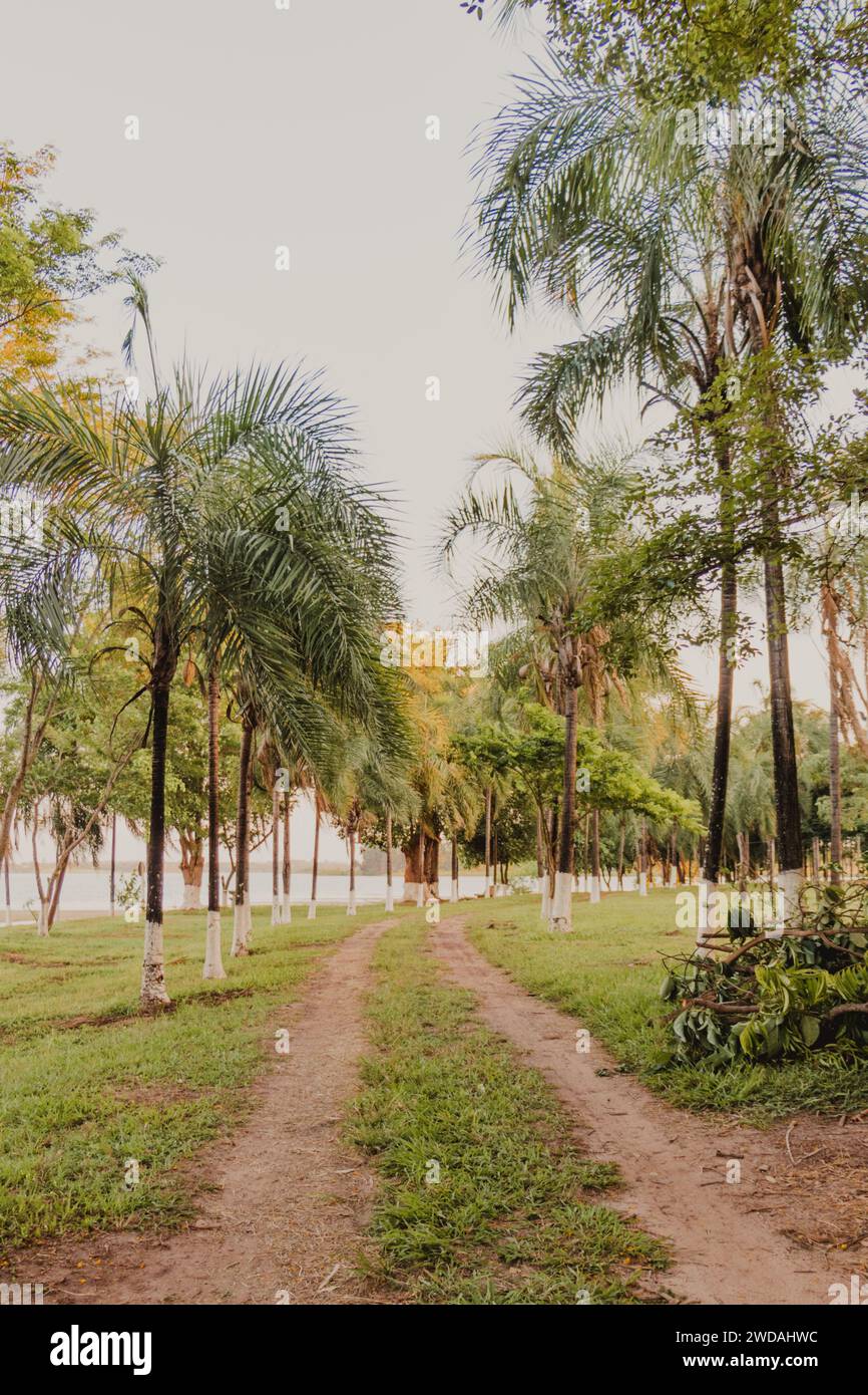 Dirt path to the beach hi-res stock photography and images - Alamy