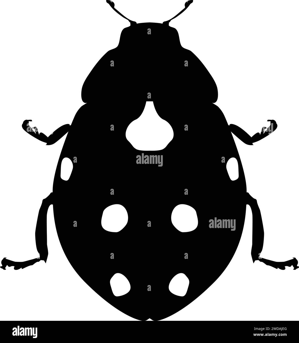 ladybug icon vector illustration design Stock Vector Image & Art - Alamy