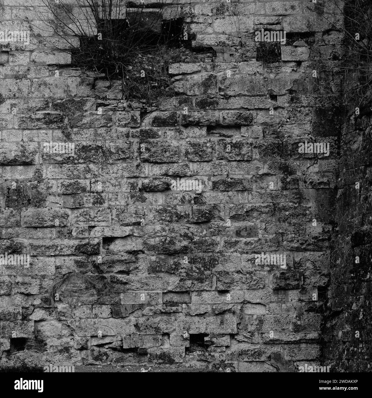 Citadel, Verdun, Meuse, Grand-Est region, France Stock Photo - Alamy