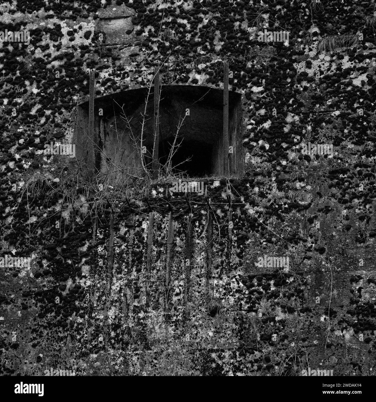 Citadel, Verdun, Meuse, Grand-Est region, France Stock Photo - Alamy