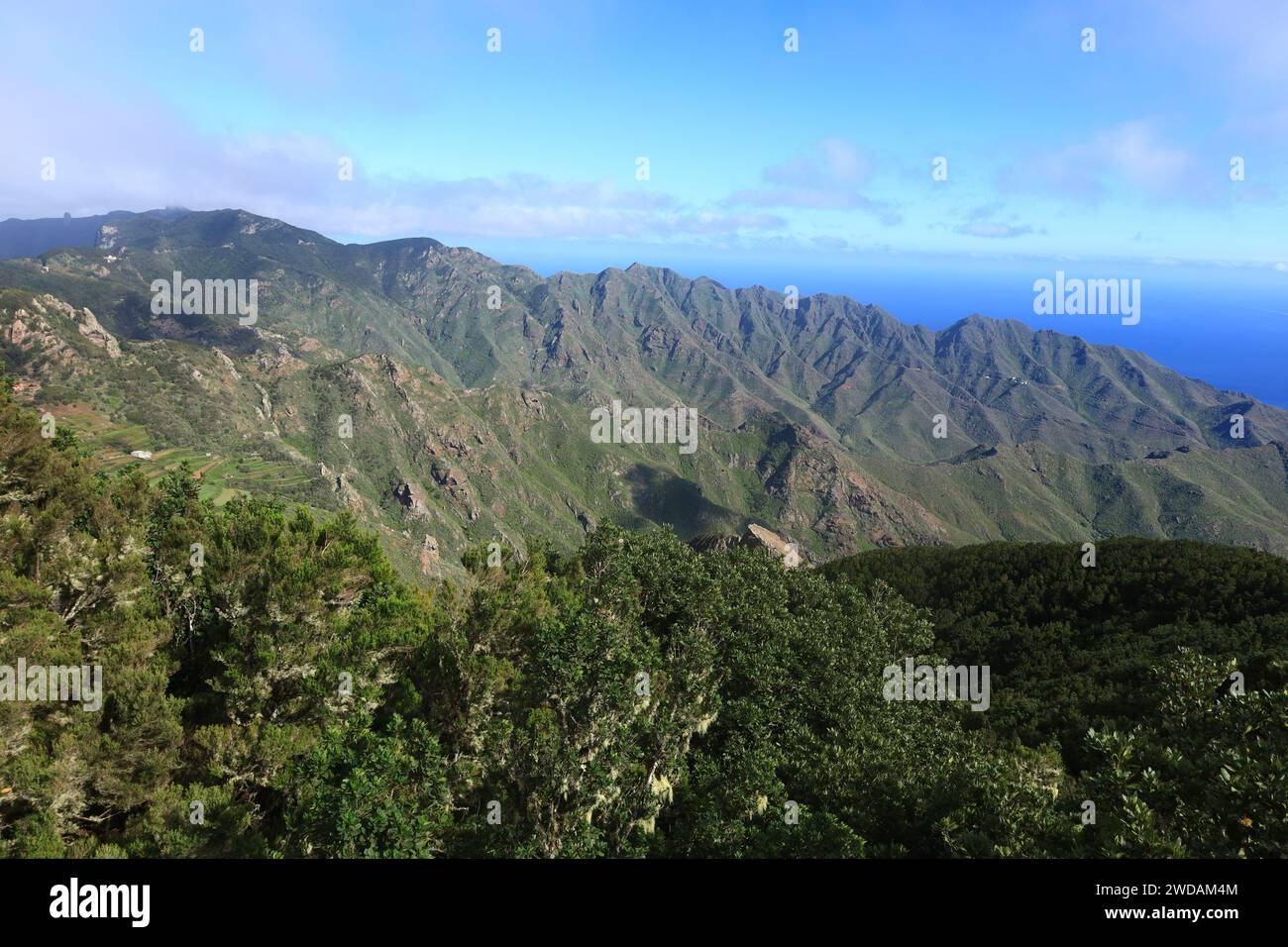 The Anaga Rural Park is a protected natural area located in the Anaga ...