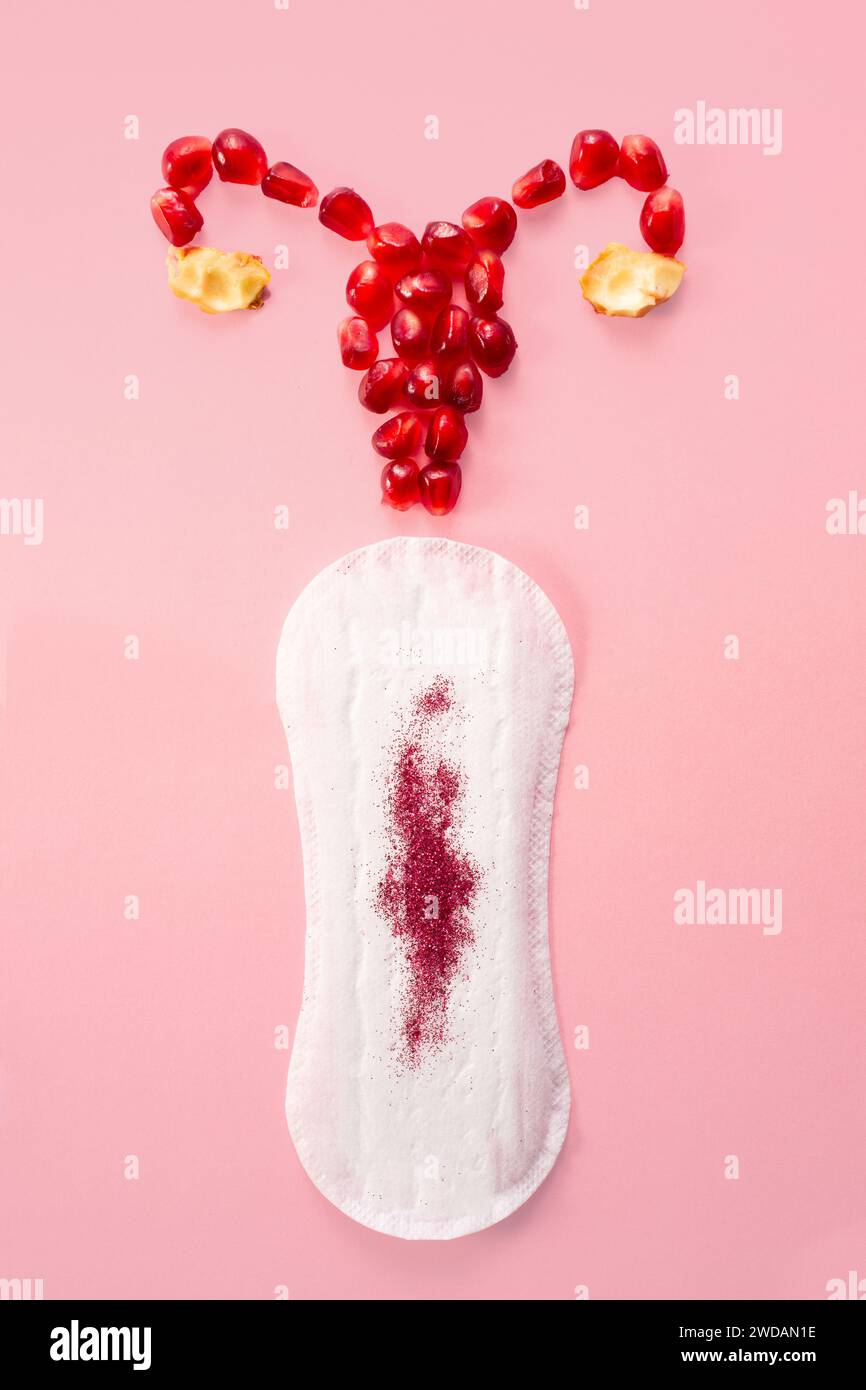 Feminine hygiene pad with and uterus made of pomegranatered.First ...