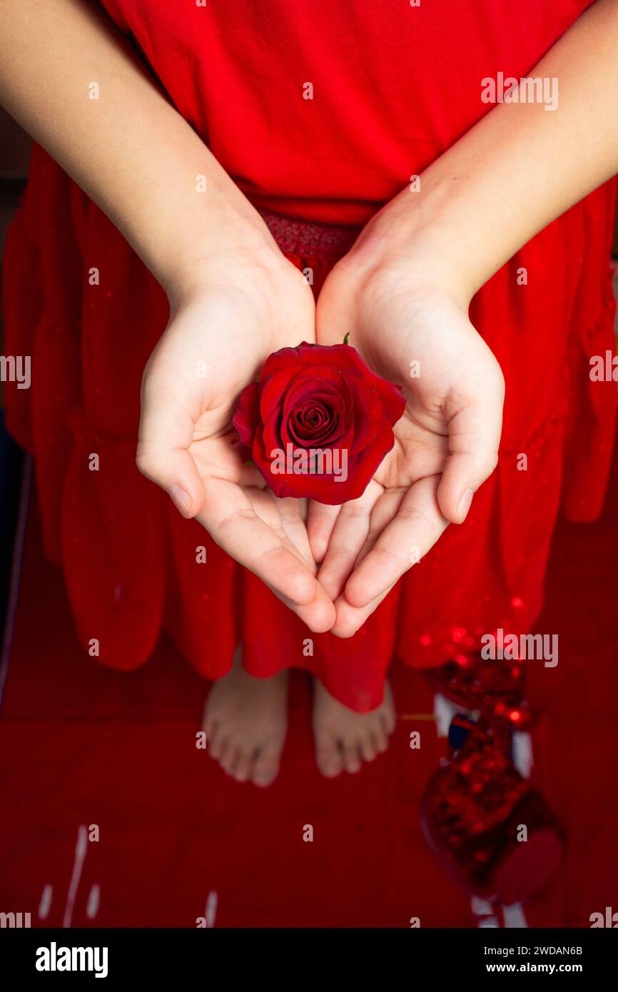 Girls hands holding a rose flower, woman first period health and ...