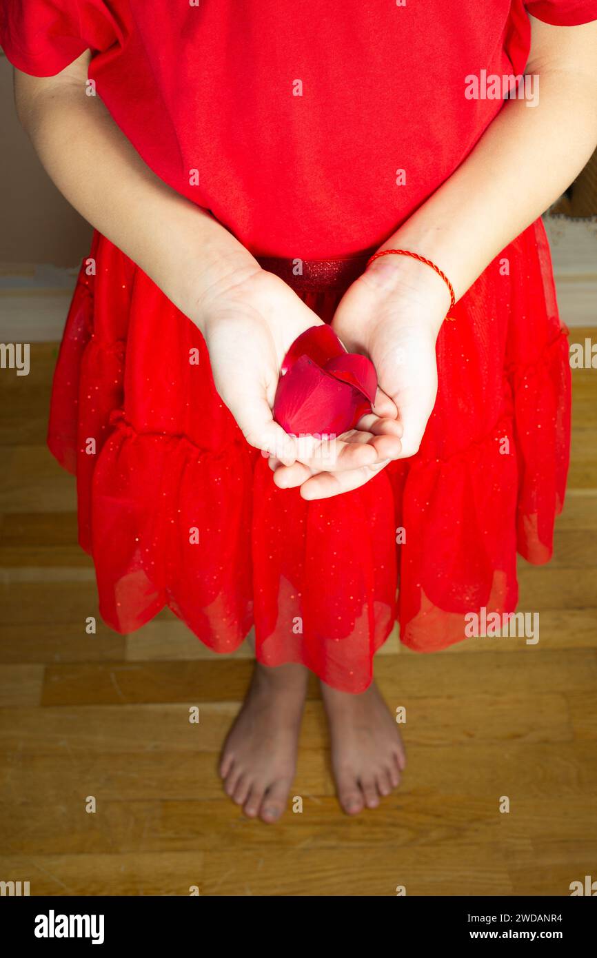 Girls hands holding a rose flower, woman first period health and ...